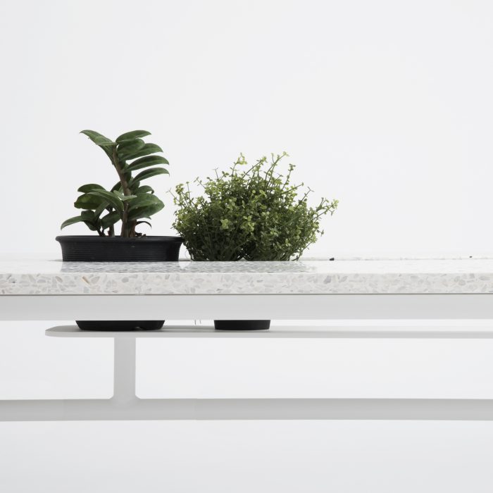 TC Collection - TALYN DESIGN OFFICIAL